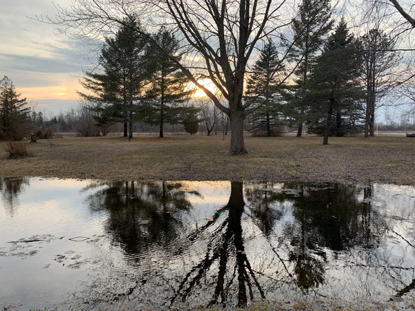 Stillness, Stewardship, and the Story of Home with Alana Fletcher ...